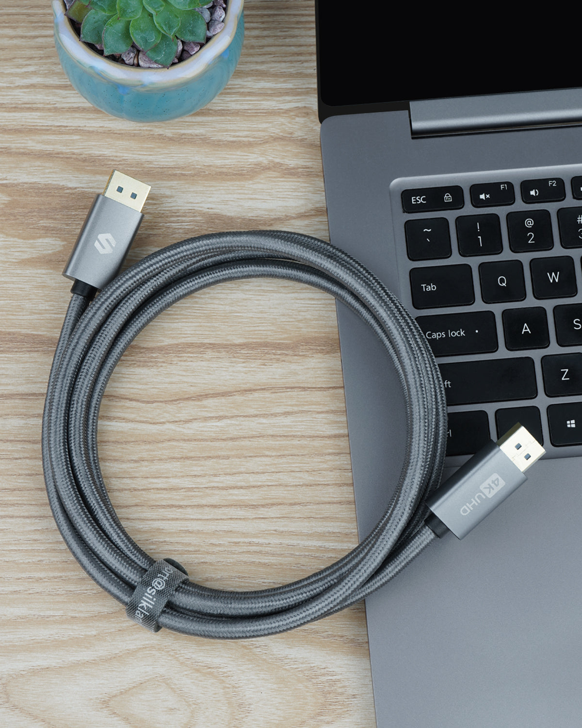 DisplayPort Cable – Silkland